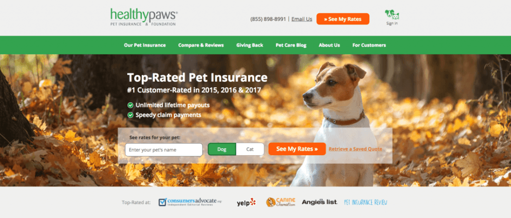 Healthy Paws Pet Insurance Helps Pet Lovers Reduce the Financial Cost ...