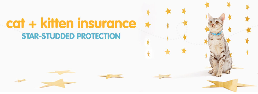 Petplan: Insurance for Pet Parent Peace of Mind